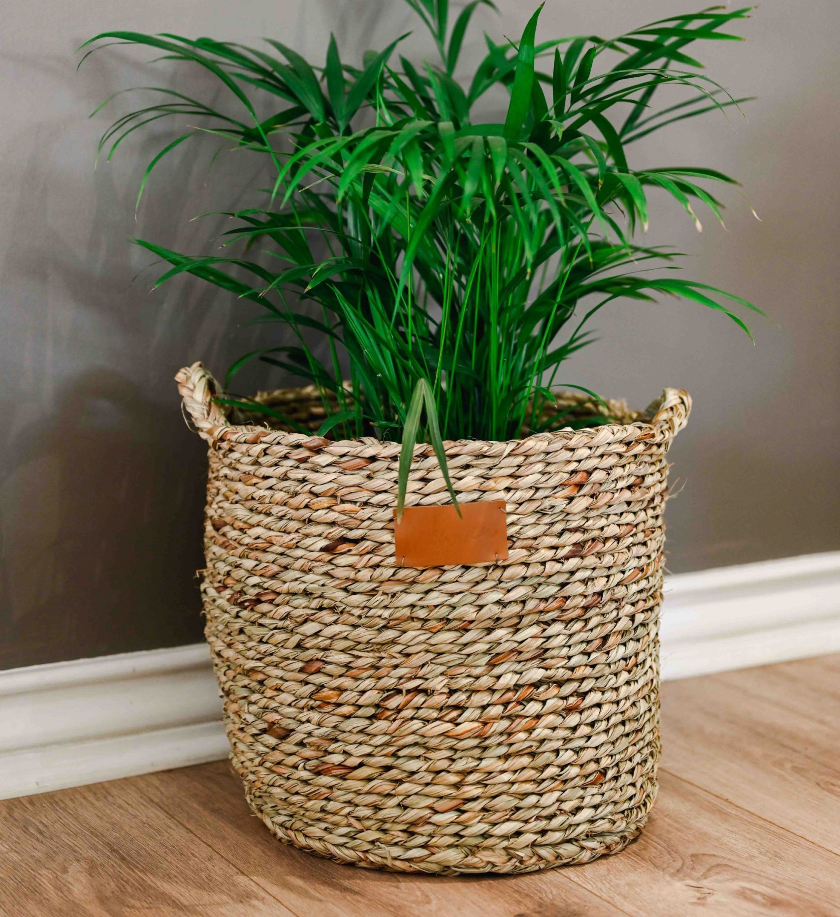 Ikhwani Planter – Wowven