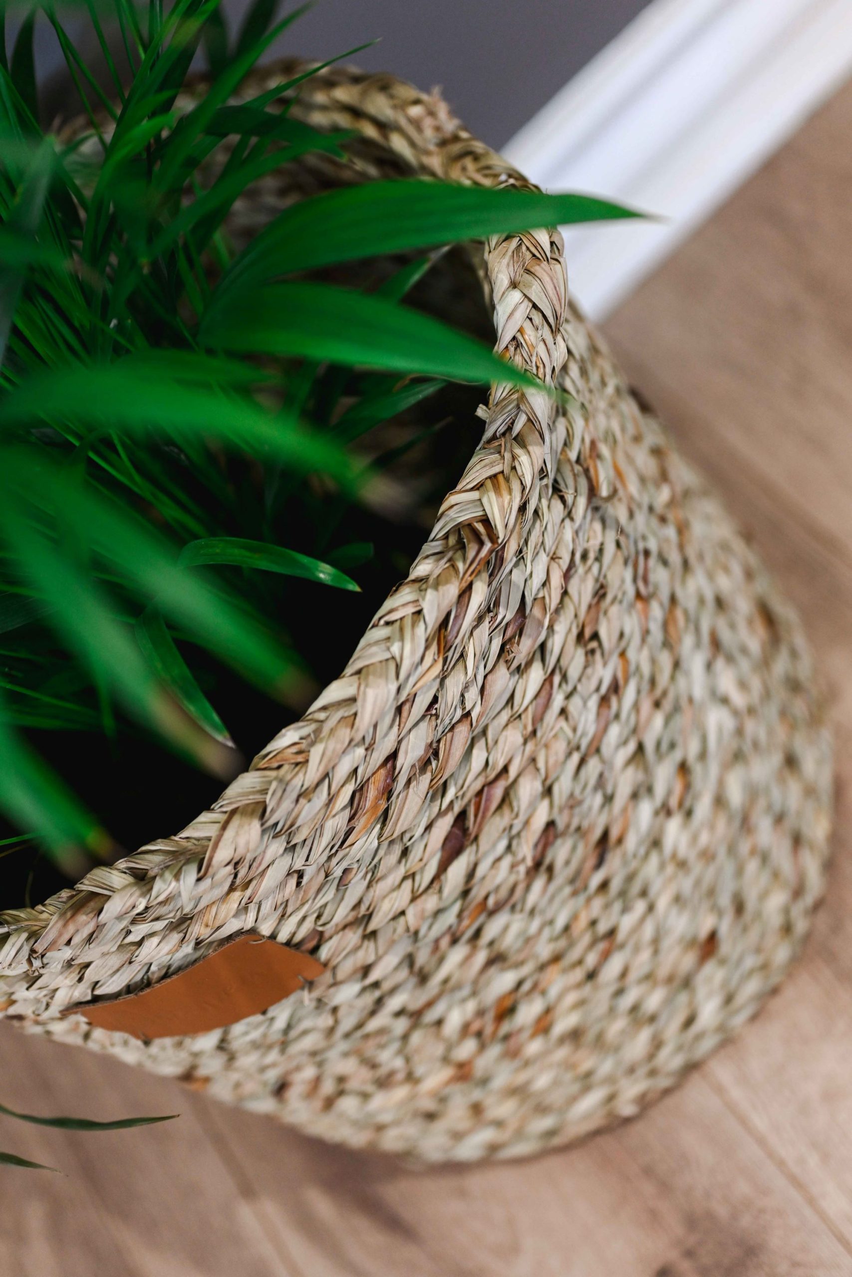 Ikhwani Planter – Wowven